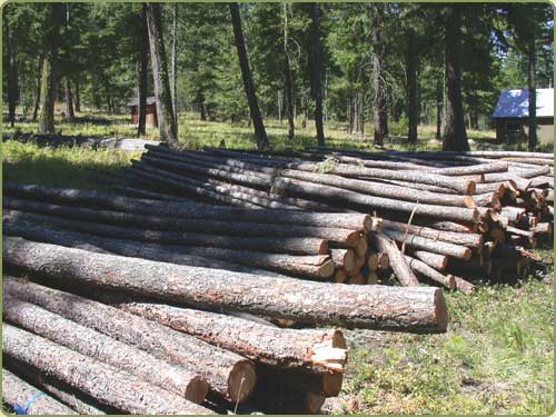 SUSTAINABLE HARVEST : NATURAL WOOD PRODUCTS : BEAR CREEK LUMBER