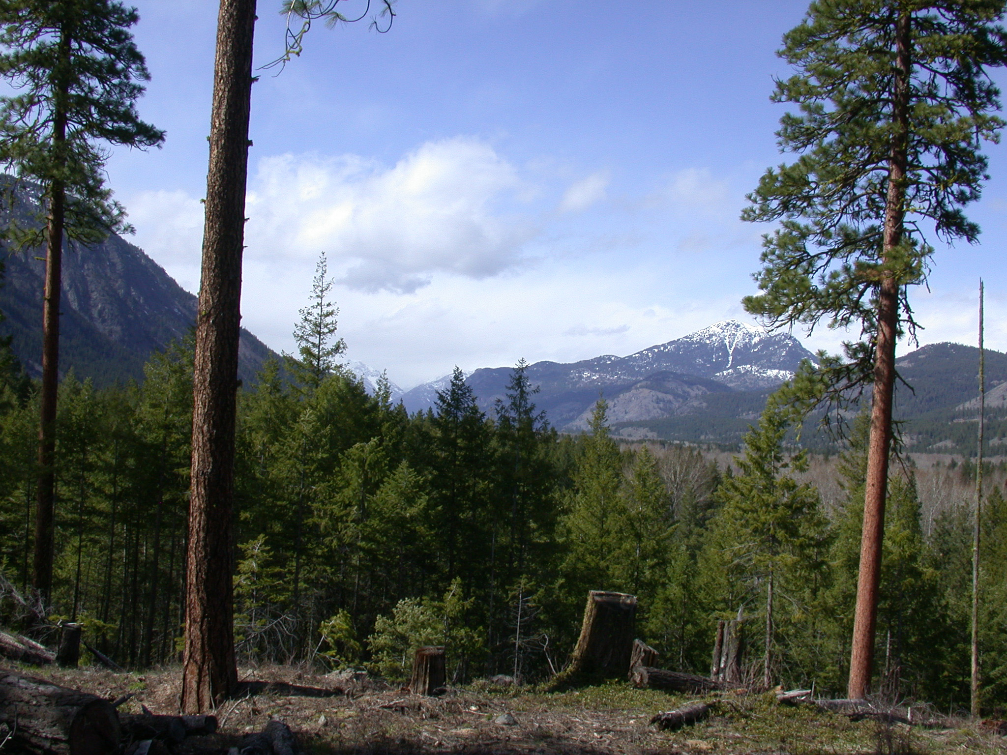 MONTHLY PICTURES : IMAGES FROM AROUND THE VALLEY METHOW