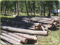 Interior and Exterior Sustainable - Bear Creek Lumber